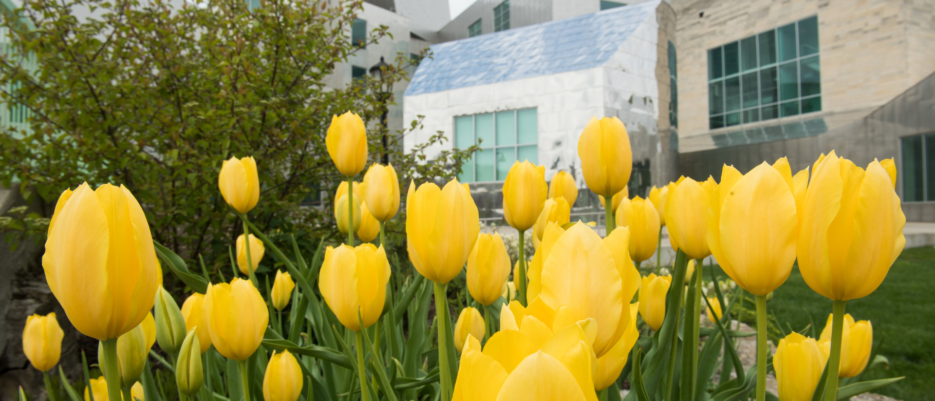 Well-Being at University Health Care Support Services Building ...