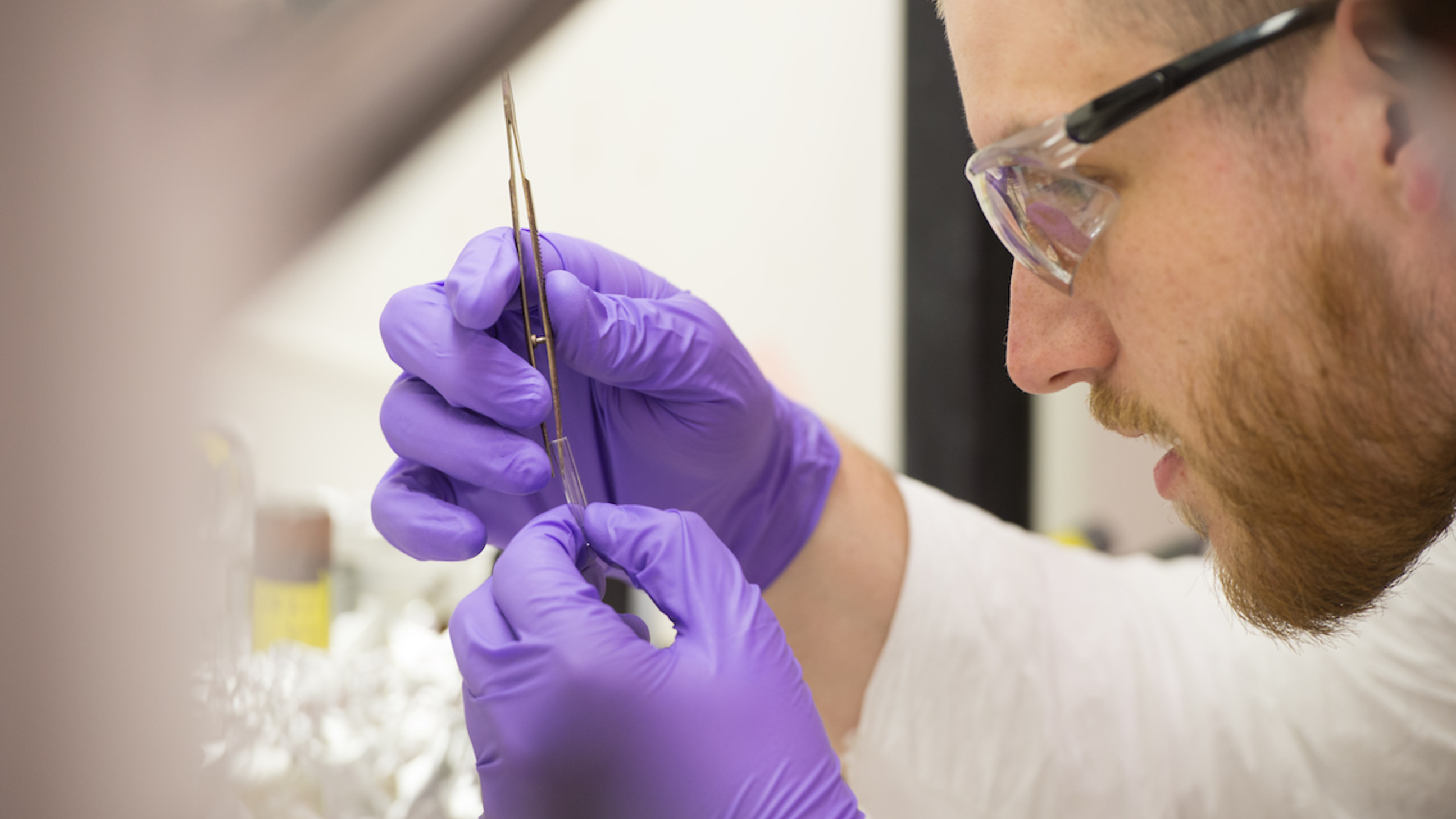 University Human Resources | The University of Iowa